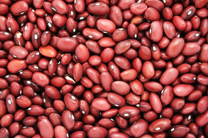 Dwarf Kidney Bean seeds - Phaseolus vulgaris – Garden Seeds Market ...