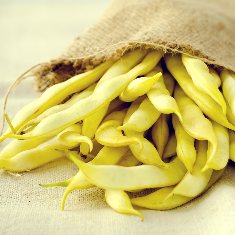 Dwarf, yellow French bean "Galopka" - 100 seeds – Garden Seeds Market ...