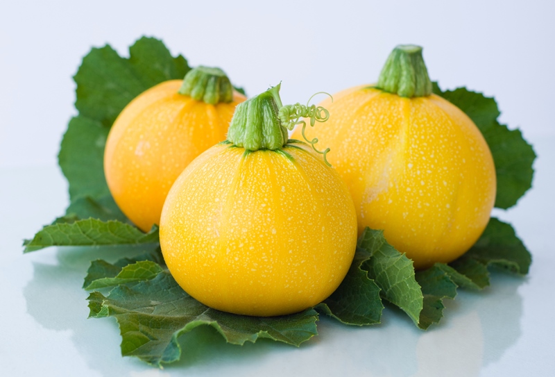 Zucchini "One Ball F1" - 8 seeds – Garden Seeds Market | Free shipping