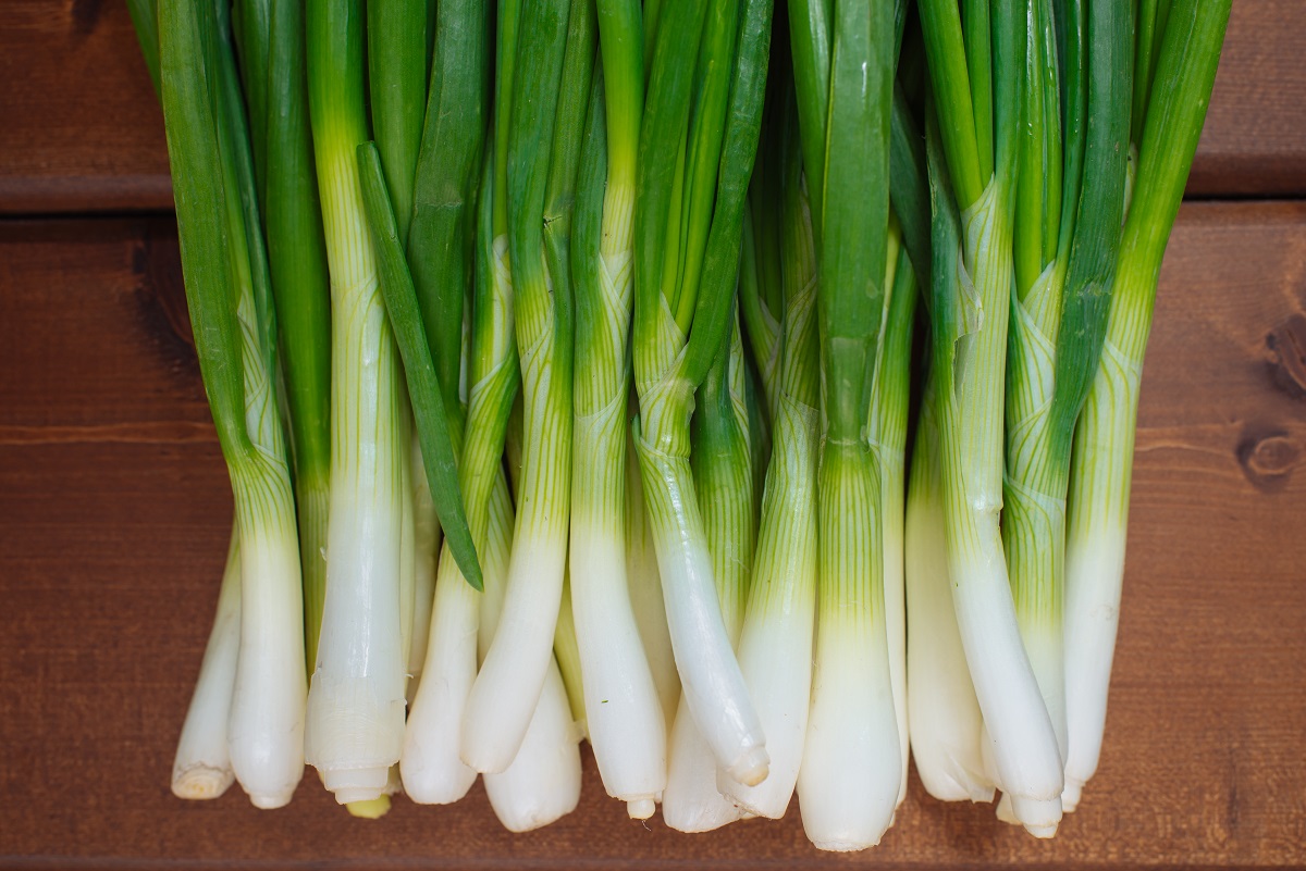 Winter onion "Winter Nest" - 900 seeds – Garden Seeds Market | Free ...