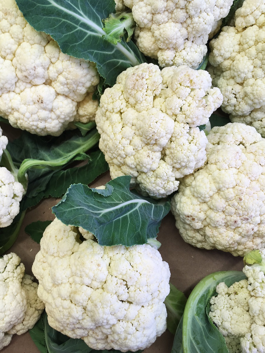 White cauliflower "Delta" - for spring, summer and autumn cultivation ...