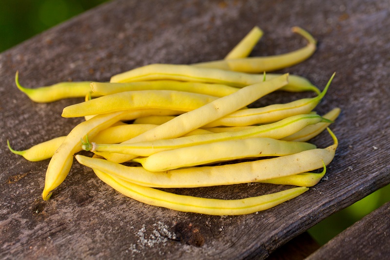 Dwarf yellow French bean "Victor" – Garden Seeds Market | Free shipping