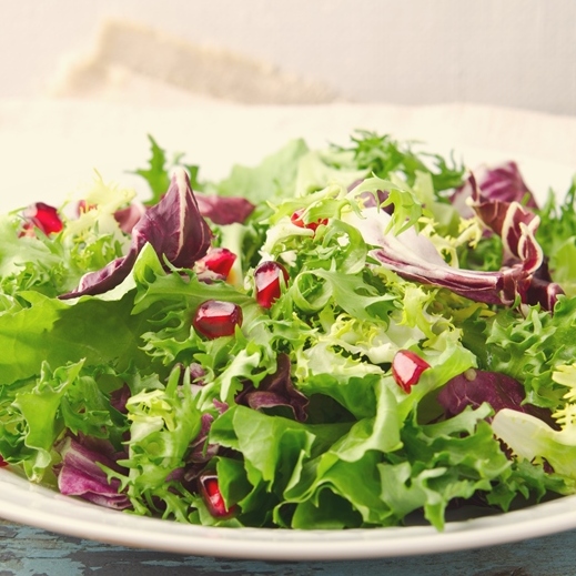 Baby Leaf - tender lettuce mix – Garden Seeds Market | Free shipping