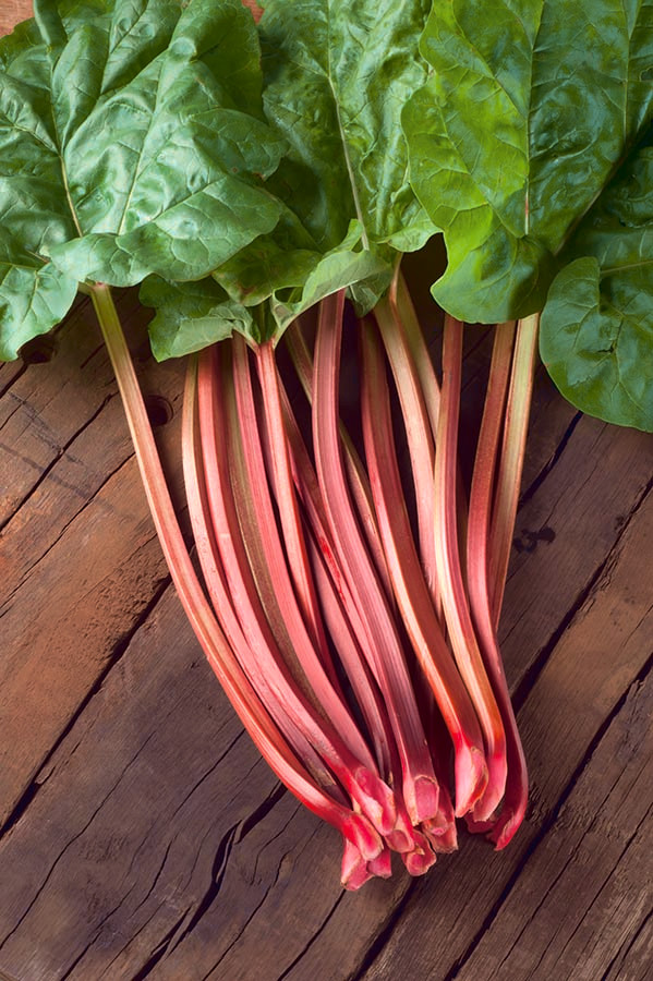 Rheum, Rhubarb Red Champagne - bulb – Garden Seeds Market | Free shipping