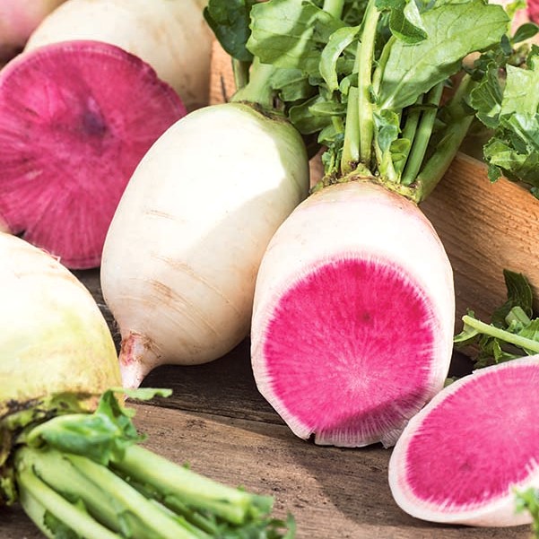 Chinese radish - white skin, red flesh; Chinese green radish ...