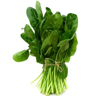 Spinach - Matador - High-Yield Spinach, Perfect for Freezing - Fresh ...