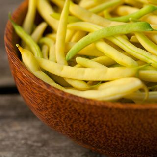 Gewone boon – Gold Saxa - 500 gram - 2000 zaden - Phaseolus vulgaris L ...