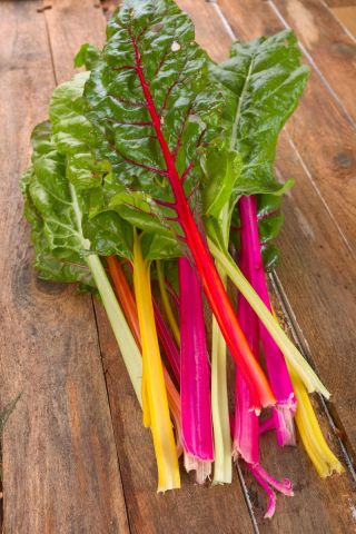 Bette - en mélange - 40 graines - Beta vulgaris – Garden Seeds Market ...