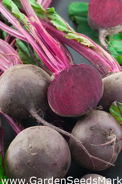 Cékla - Red Ball - 1000 magok - Beta vulgaris – Garden Seeds Market ...
