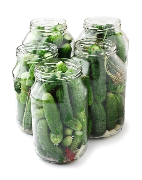 Cucumber Polan F1 seeds - Cucumis sativus (coated seeds) - 50 seeds ...