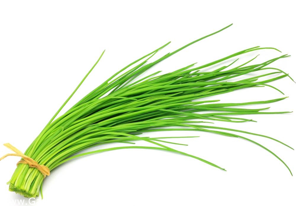 Maurloki – Jupiter - 850 sēklas - Allium schoenoprasum L. – Garden ...