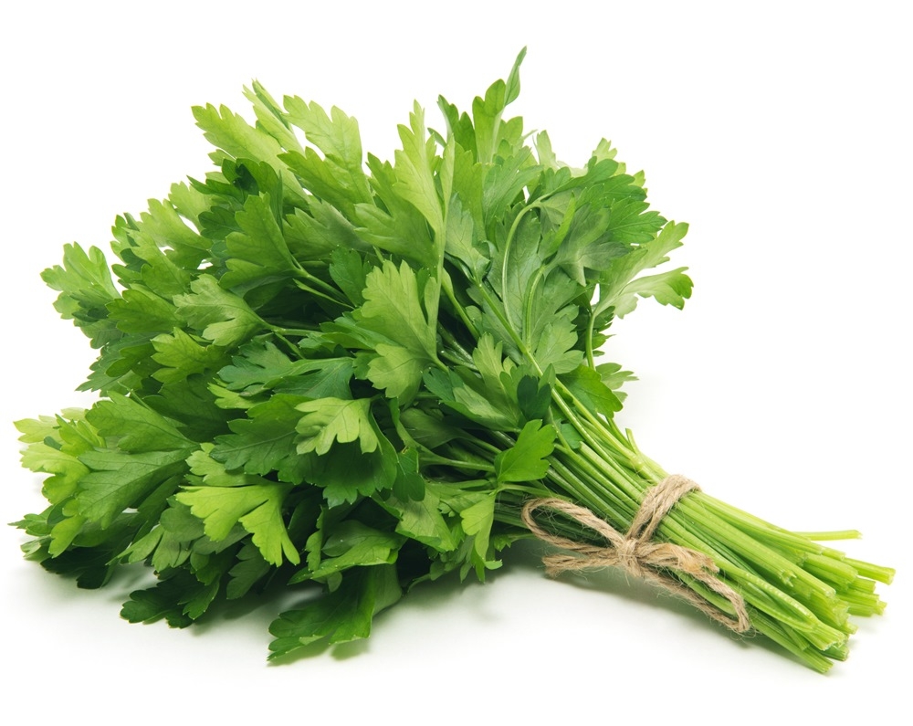 Prezzemolo - Gigante d'Italia - BIO - 1200 semi - Petroselinum crispum ...