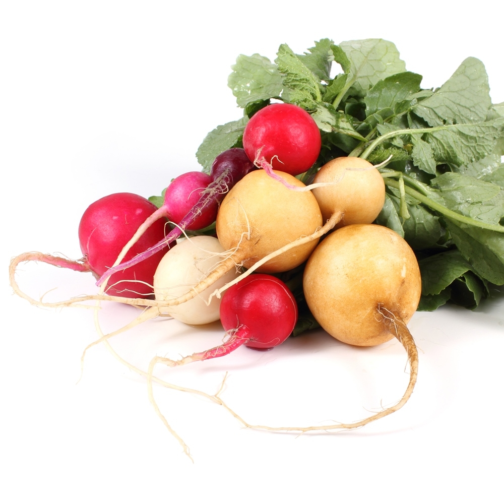 Rabanete - cor - 850 sementes - Raphanus sativus L. – Garden Seeds ...