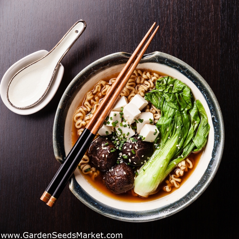 Chinese Cabbage Pak Choi seeds - Brassica chinensis - 500 seeds ...