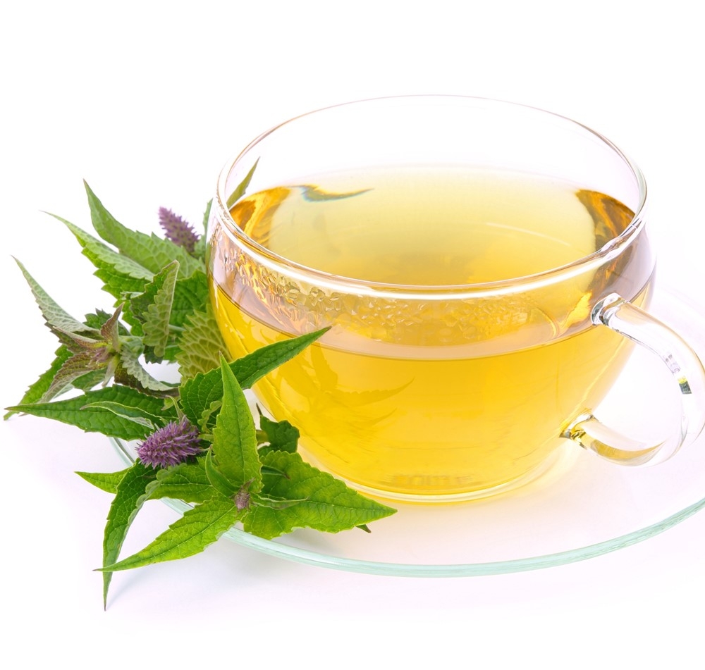 Hummingbird Mint seeds - Agastache mexicana – Garden Seeds Market ...