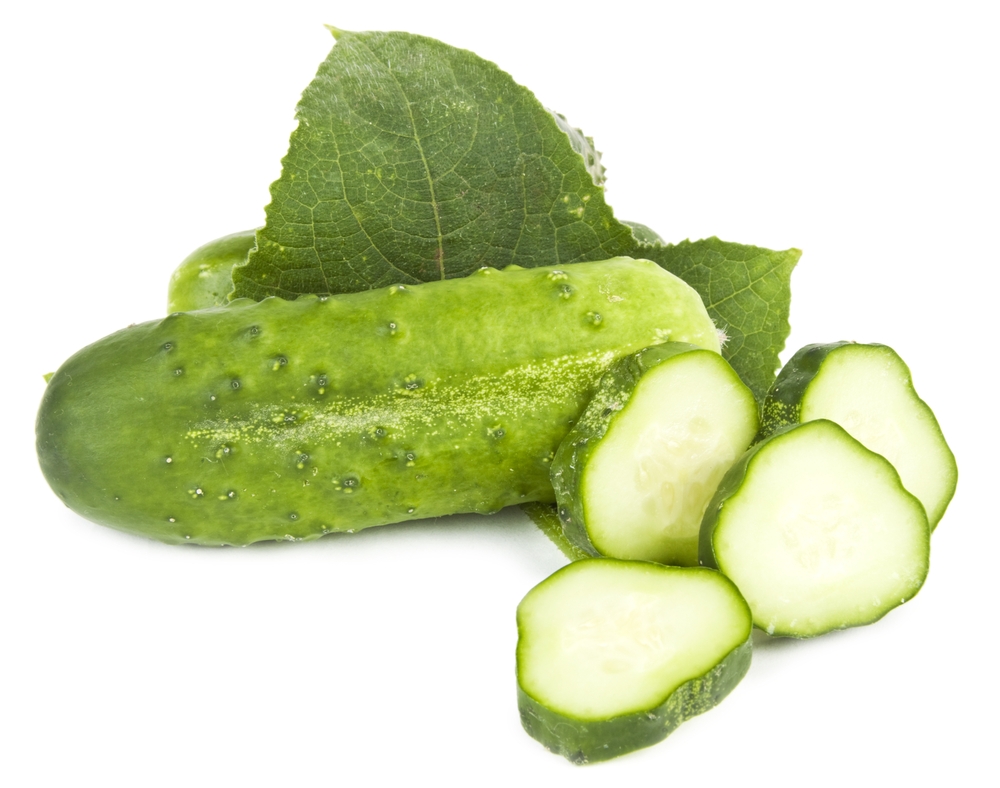 Augurken - Sander - 105 zaden - Cucumis sativus – Garden Seeds Market ...