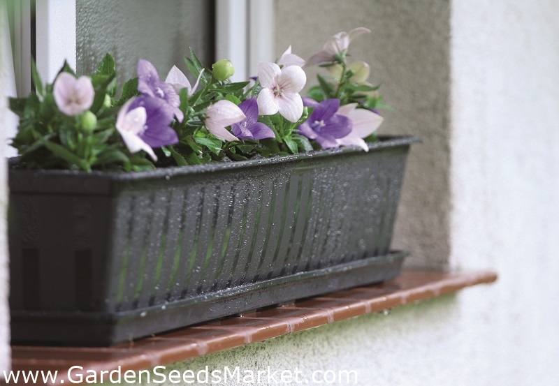 Pot bunga outdoor persegi panjang - Agro - 70 cm - Coklat - – Garden ...