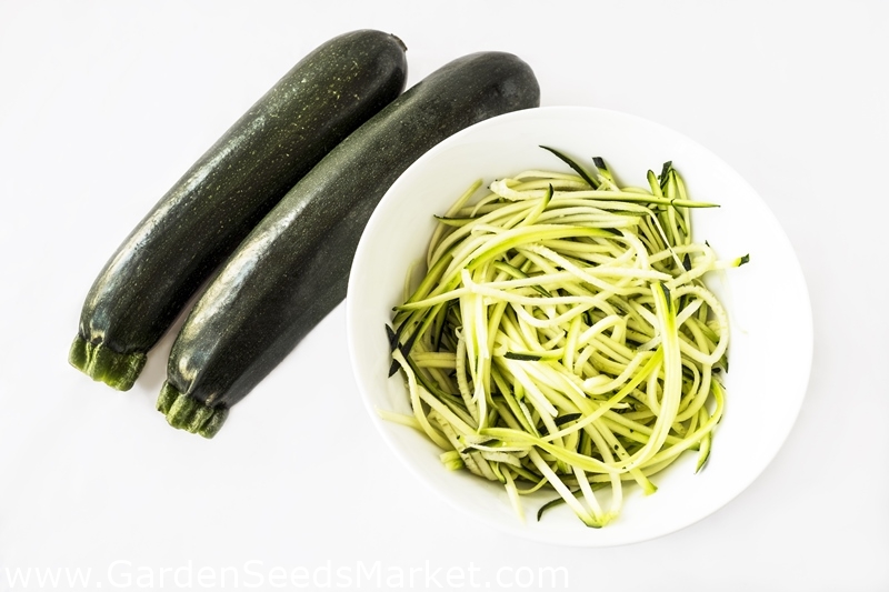 Courgette - Black Beauty - 19 graines - Cucurbita pepo – Garden Seeds ...