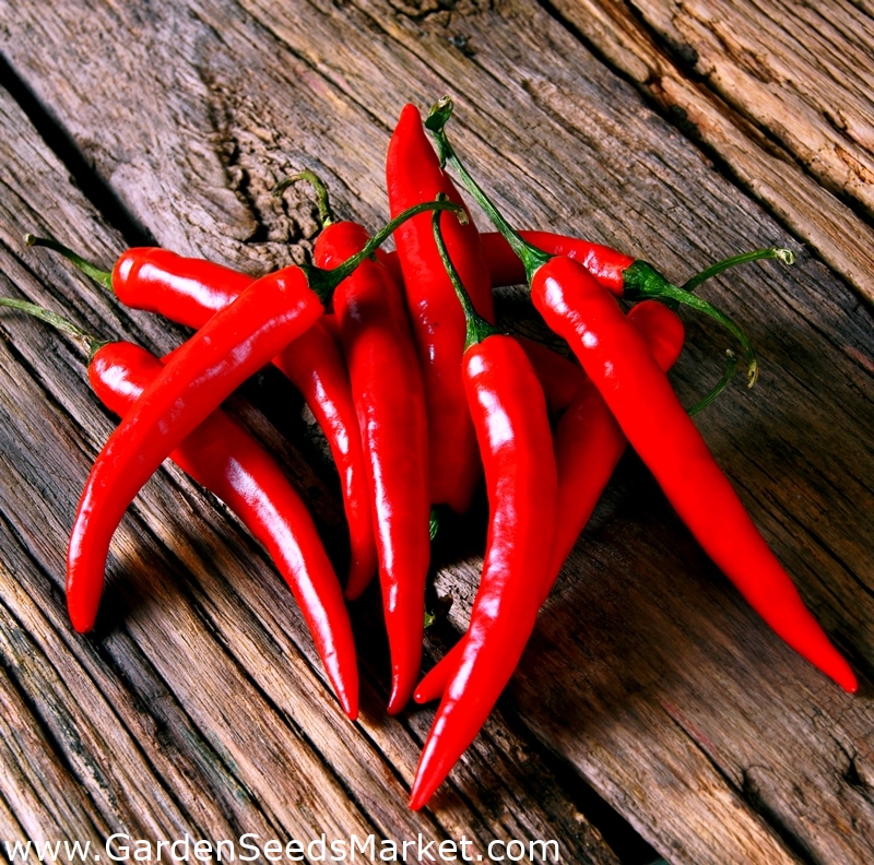 Pimento - Poseidon - 70 sementes - Capsicum L. – Garden Seeds Market ...