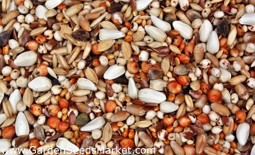 Legume-fodder mix for aftercrop - 5 kg – Garden Seeds Market | Free ...
