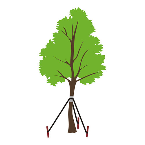 Three-point tree stabilizer - helps the tree grow upright – Garden ...