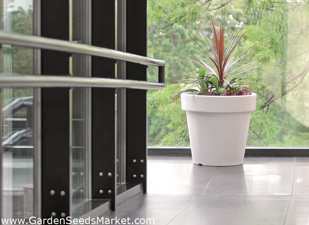"Lexo Round" outdoor planter - 60 cm - white – Garden Seeds Market ...