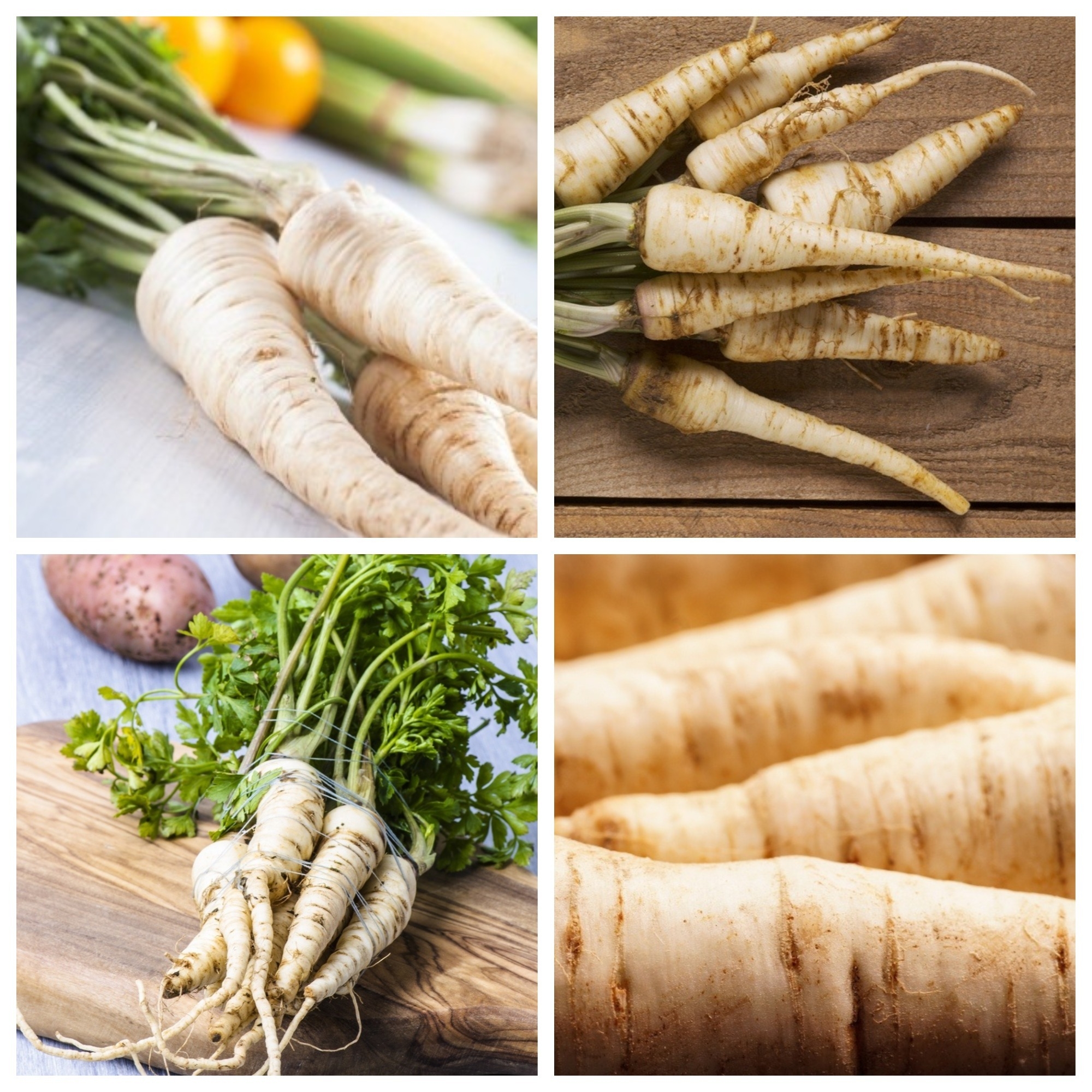 Petržel - semena 4 odrůd rostlinných rostlin - – Garden Seeds Market ...
