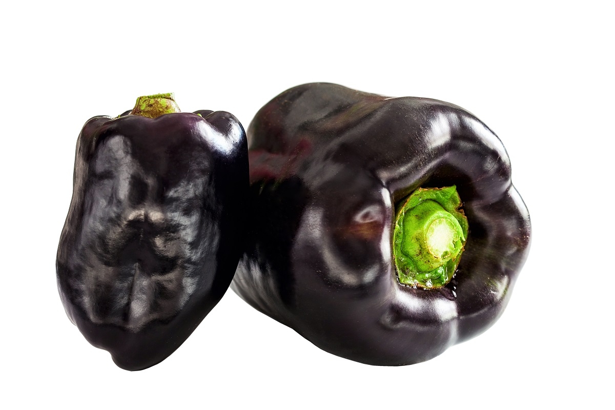 Sweet pepper 'Zulu' - black, block-shaped variety for cultivation on ...