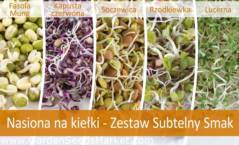 Sprouting seeds - Subtle Taste Selection – Garden Seeds Market | Free ...