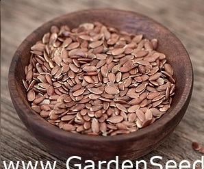 BIO Sėklos daigams - Sėjamasis linas - Linum usatatissmum – Garden ...
