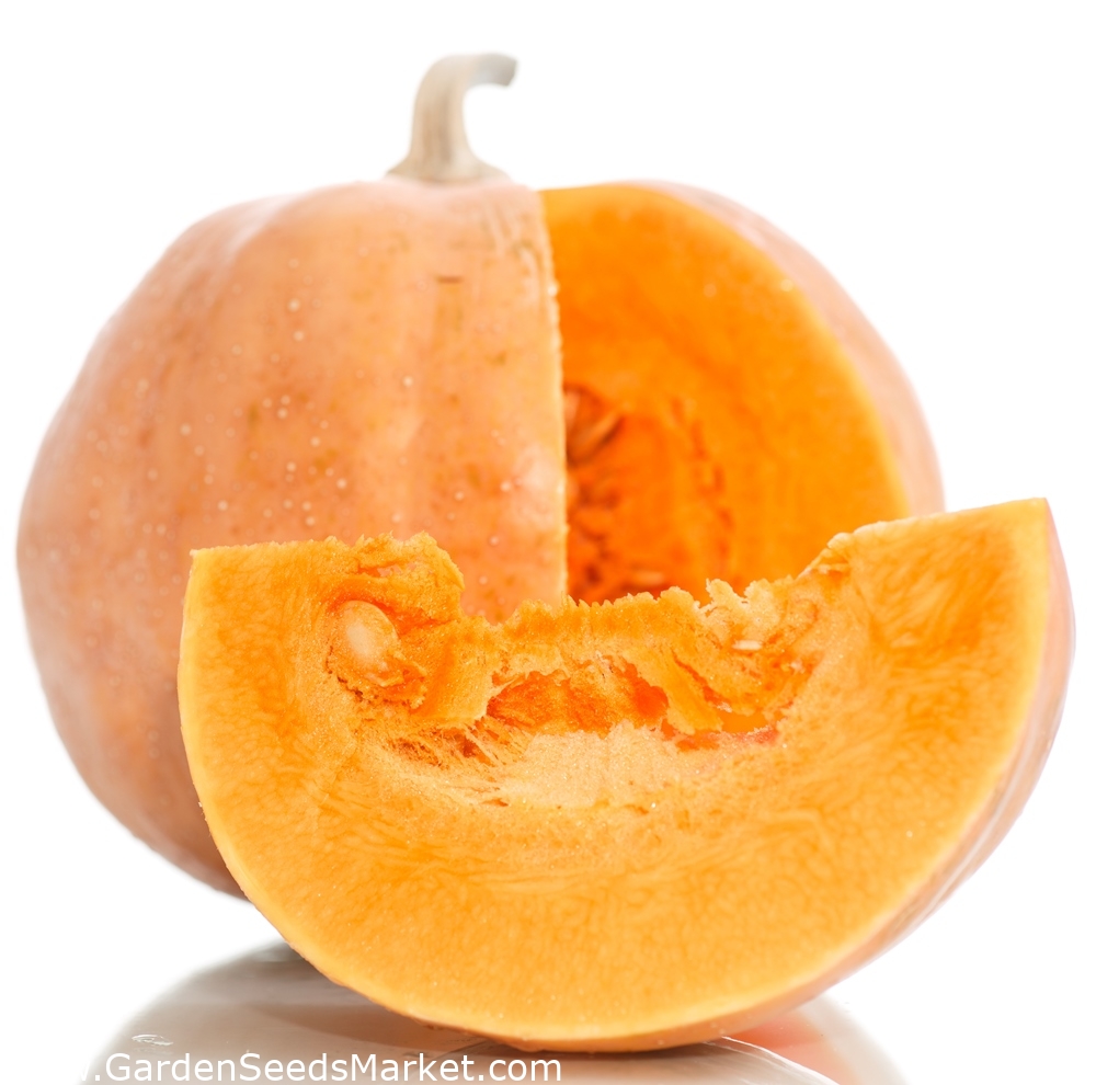 Giant squash ' Yellow Melon' - 100 g – Garden Seeds Market | Free shipping