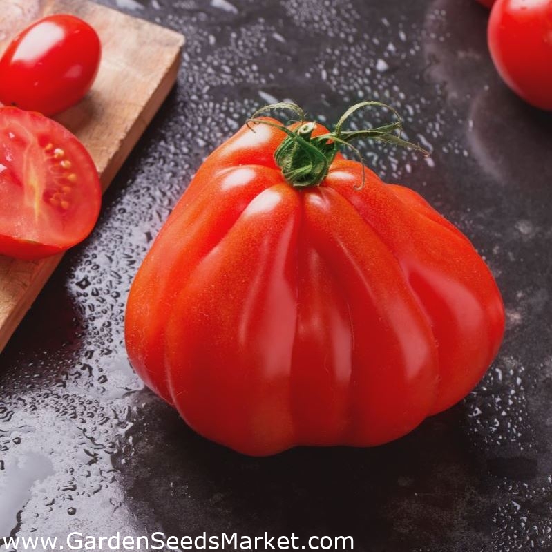 Harlequin S Gardens Tomatoes | Fasci Garden