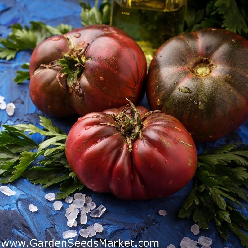 Pomidoras - Black Prince - Lycopersicon esculentum - Black Prince ...