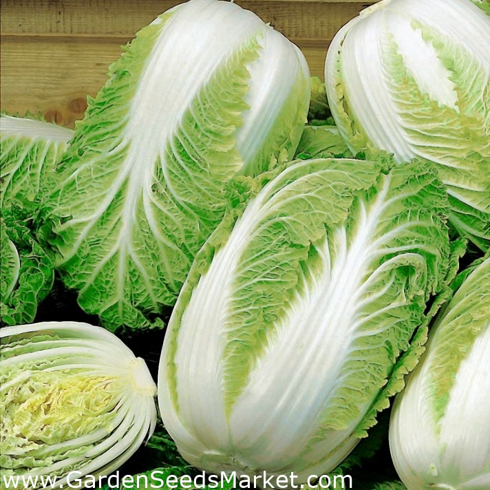 Cabbage seeds - selection of 4 varieties – Garden Seeds Market | Free ...