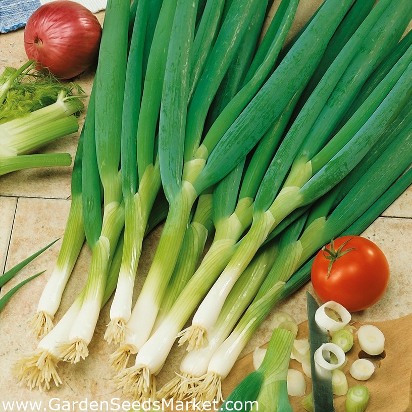 Winter onion and leek seeds - selection of 4 varieties – Garden Seeds ...