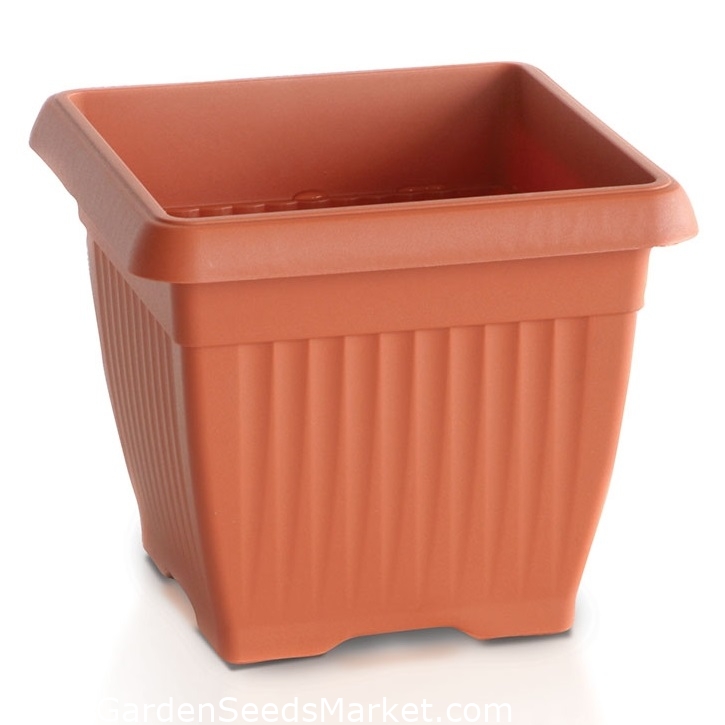 "Terra" outdoor square planter 24 cm - terracotta-coloured – Garden ...