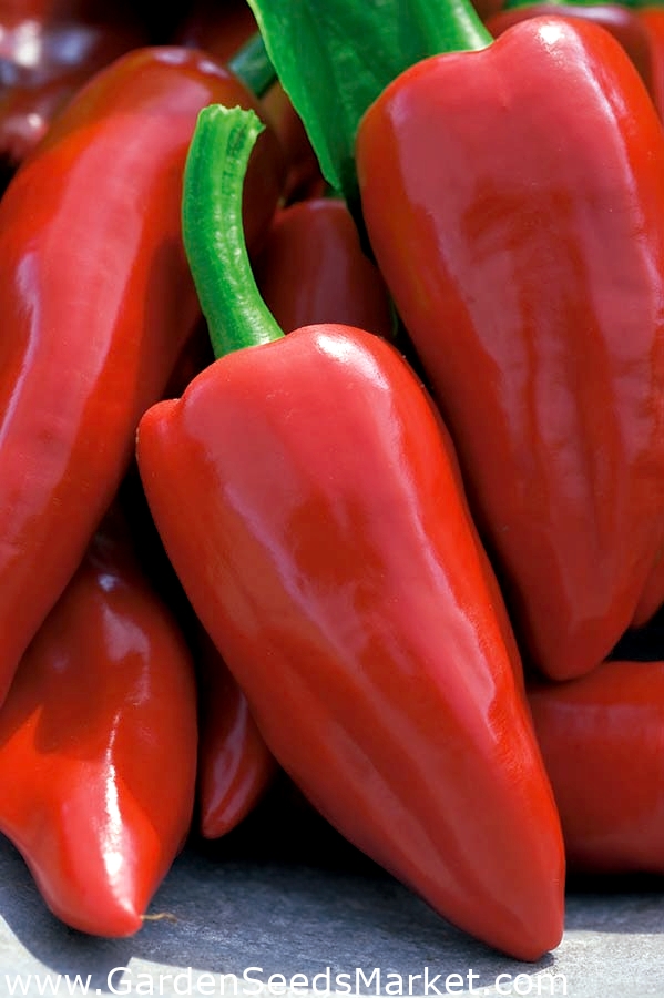 Paprika "Rubinova" - rot und süß – Garden Seeds Market | Kostenloser ...