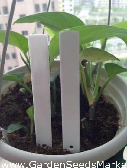 Seedling labels - 13 cm - 20 pieces – Garden Seeds Market | Free shipping
