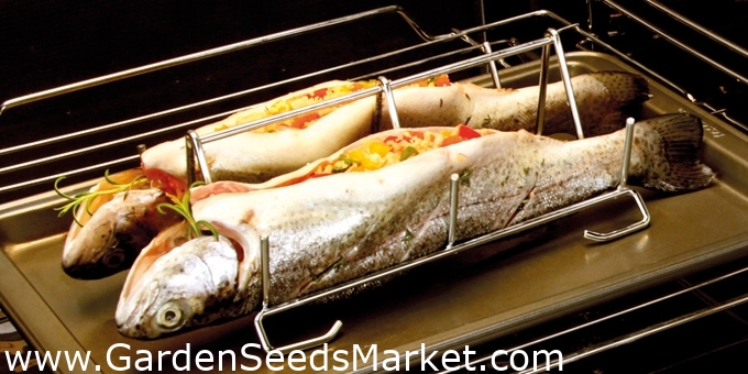 GrandCHEF' fish roasting stand – Garden Seeds Market | Free shipping