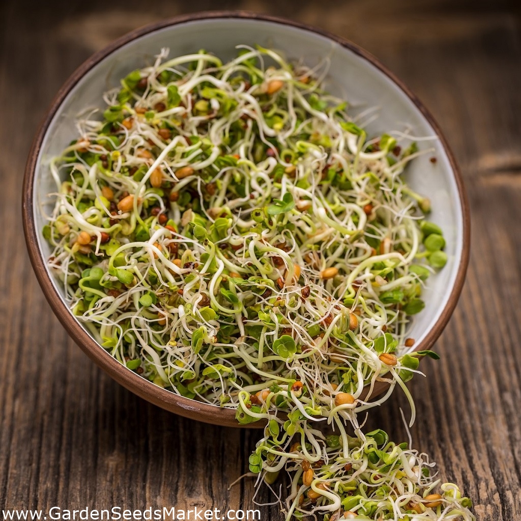 Sprouting seeds with a small sprouter - Micronutrients' Mix – Garden ...