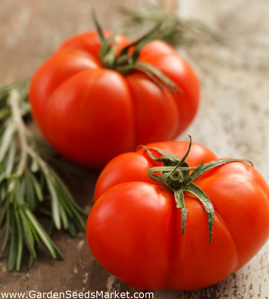 Šiltnamio pomidoras „Tukan F1“ - didesnė pakuotė - – Garden Seeds ...