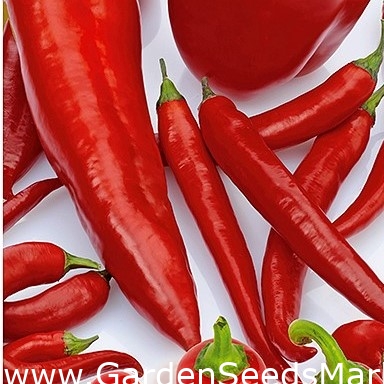 Mélange de variétés de piments forts - – Garden Seeds Market ...