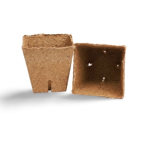 Square peat pot 8 x 8 cm Ø - 1200 pcs – Garden Seeds Market | Free shipping