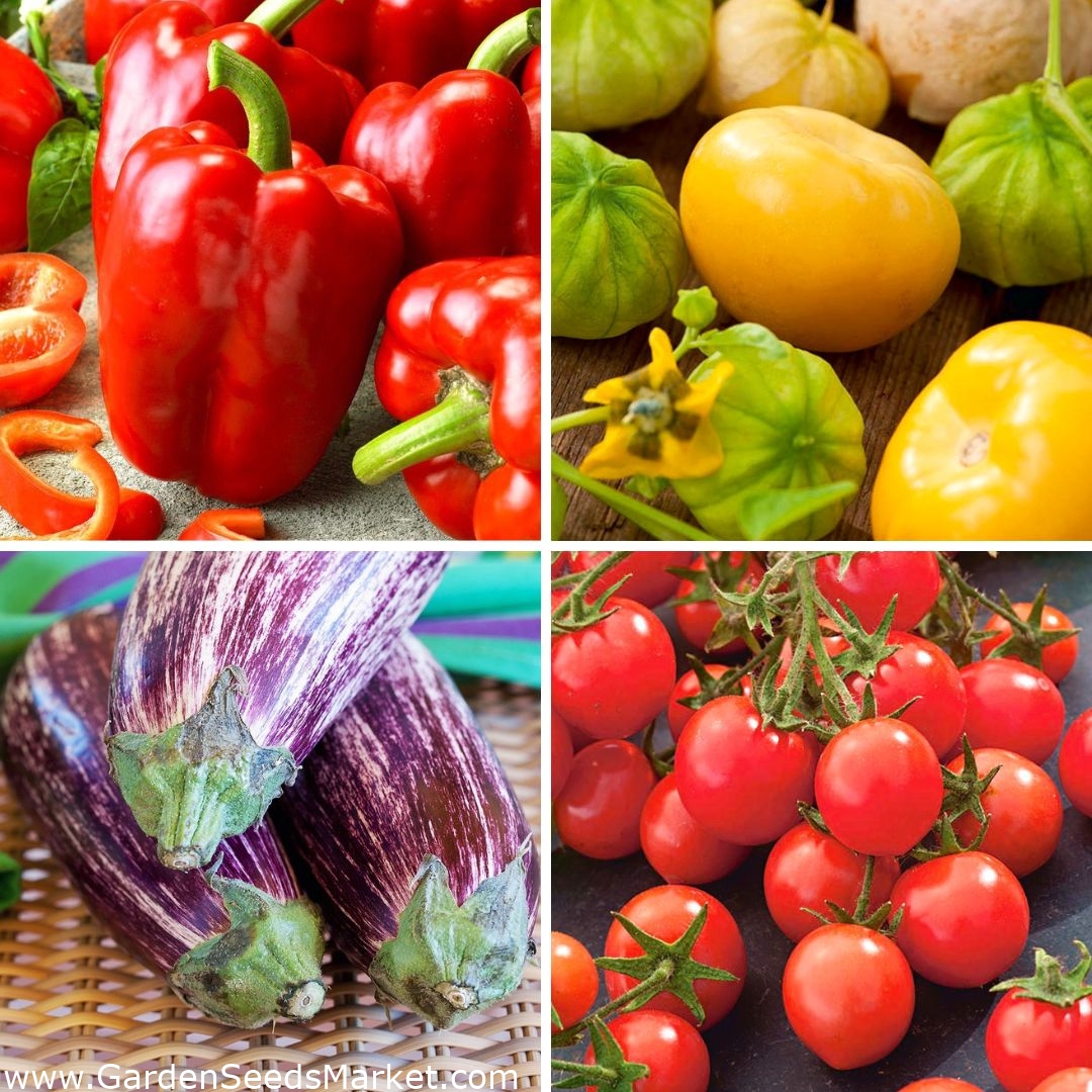 Nightshade vegetables - seeds of four varieties – Garden Seeds Market ...