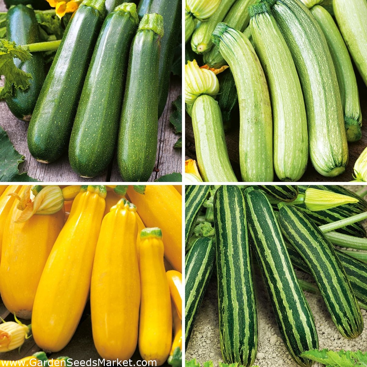 Courgette (zucchini) seeds - selection of 4 varieties – Garden Seeds ...