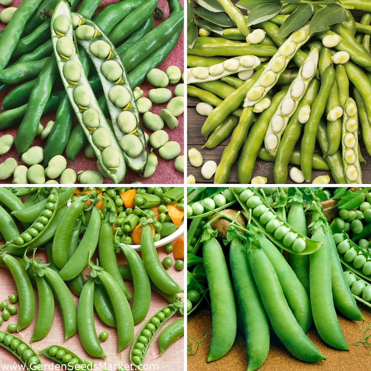 Broad bean and pea seeds - selection of 4 varieties – Garden Seeds ...