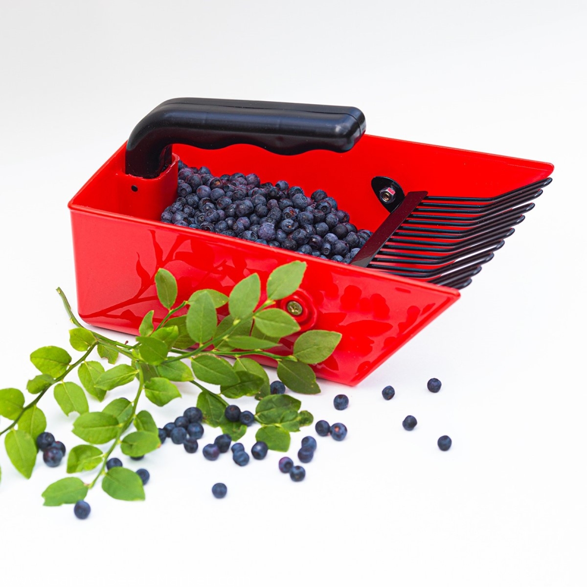 Berry picker with metal teeth – Garden Seeds Market | Free shipping