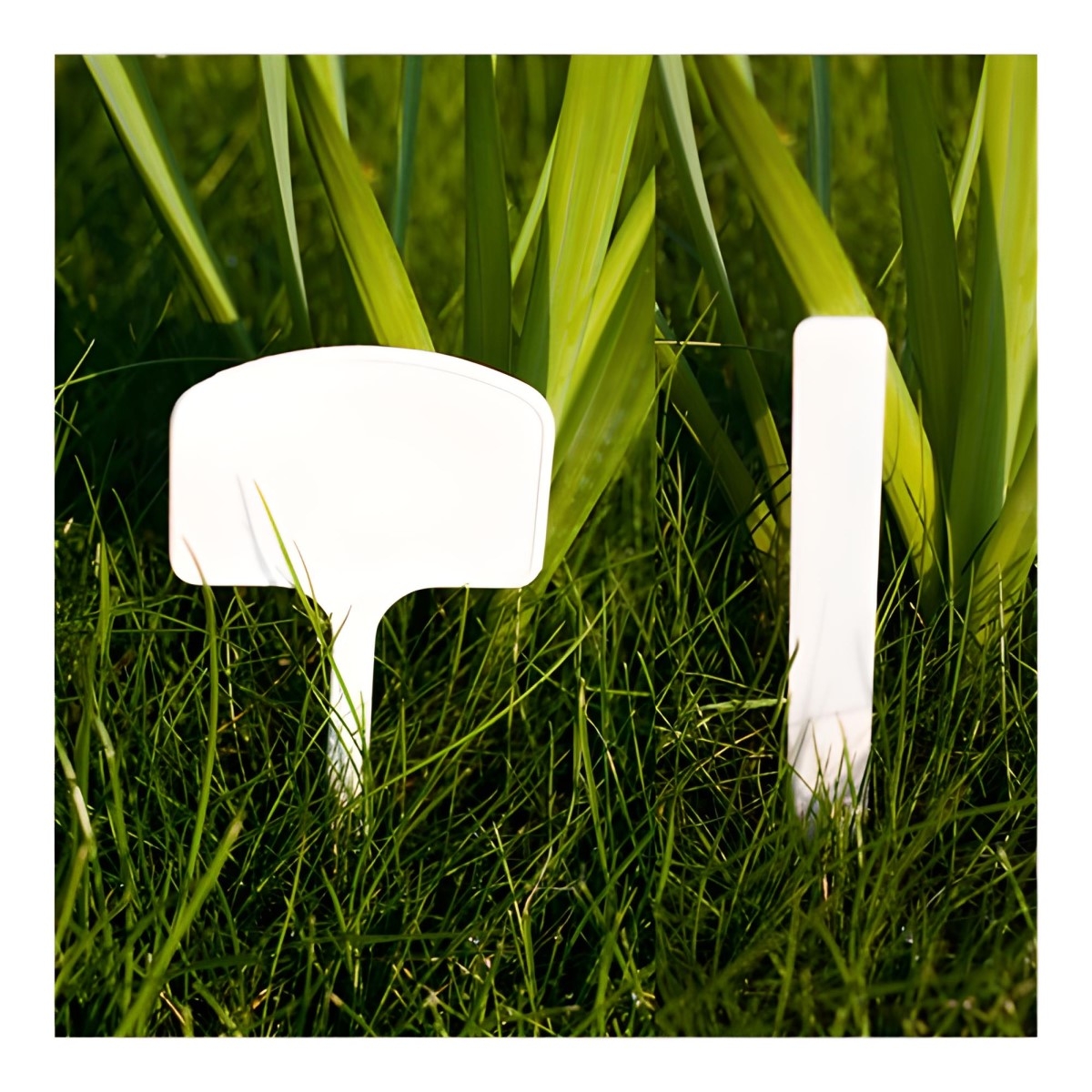 Etichete pentru plante, farfurii - 30 de piese + creion - – Garden ...